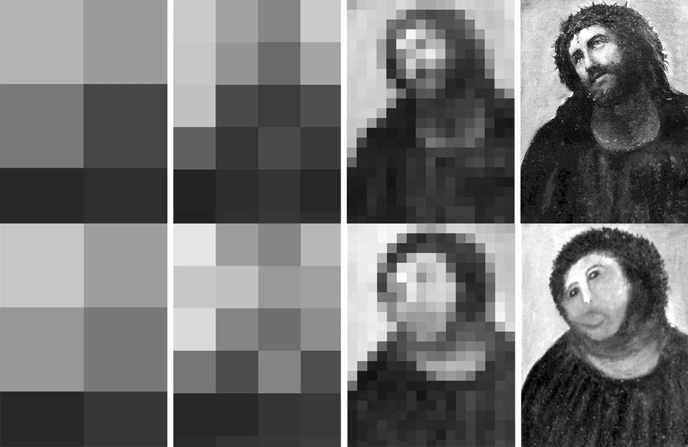 Cultural Evolution & its Interplay with Biological Evolution | Pierrick ...